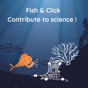 About INdIGO – INdIGO